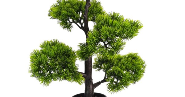 Copac artificial, tip Pin, cu ghiveci, Naimeed D6912, 50x12 cm, Verde