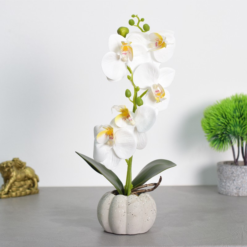 Orhidee cu aspect natural in ghiveci ceramic, 30 cm, Naimeed D4856, Alb