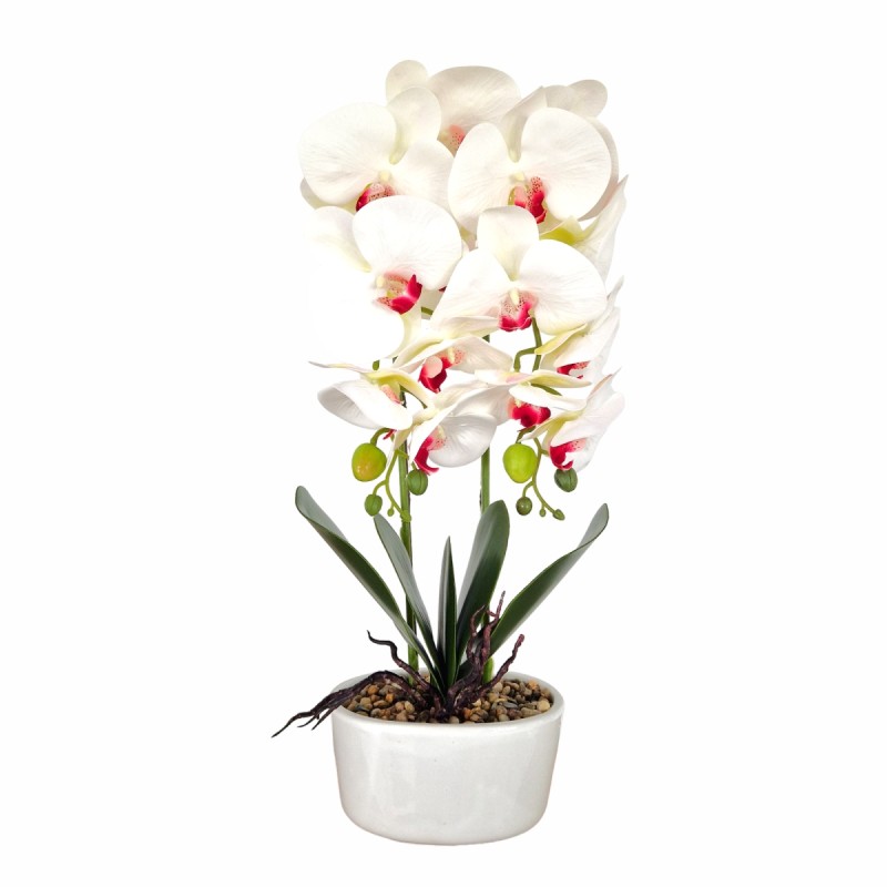 Orhidee cu aspect natural in ghiveci ceramic, 50 cm, Naimeed D5819, Alb ...